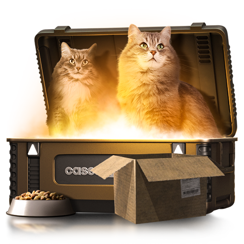 Открыть кейс CS2 Мур-мяу-кейс за 75 ₽ | Cases4Real